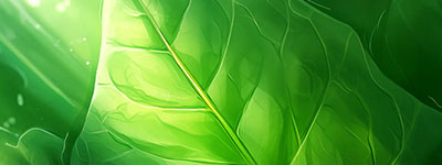 Magnified VBS 2025 | Lifeway VBS Theme