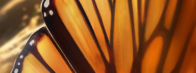 Magnified VBS 2025 | Lifeway VBS Theme